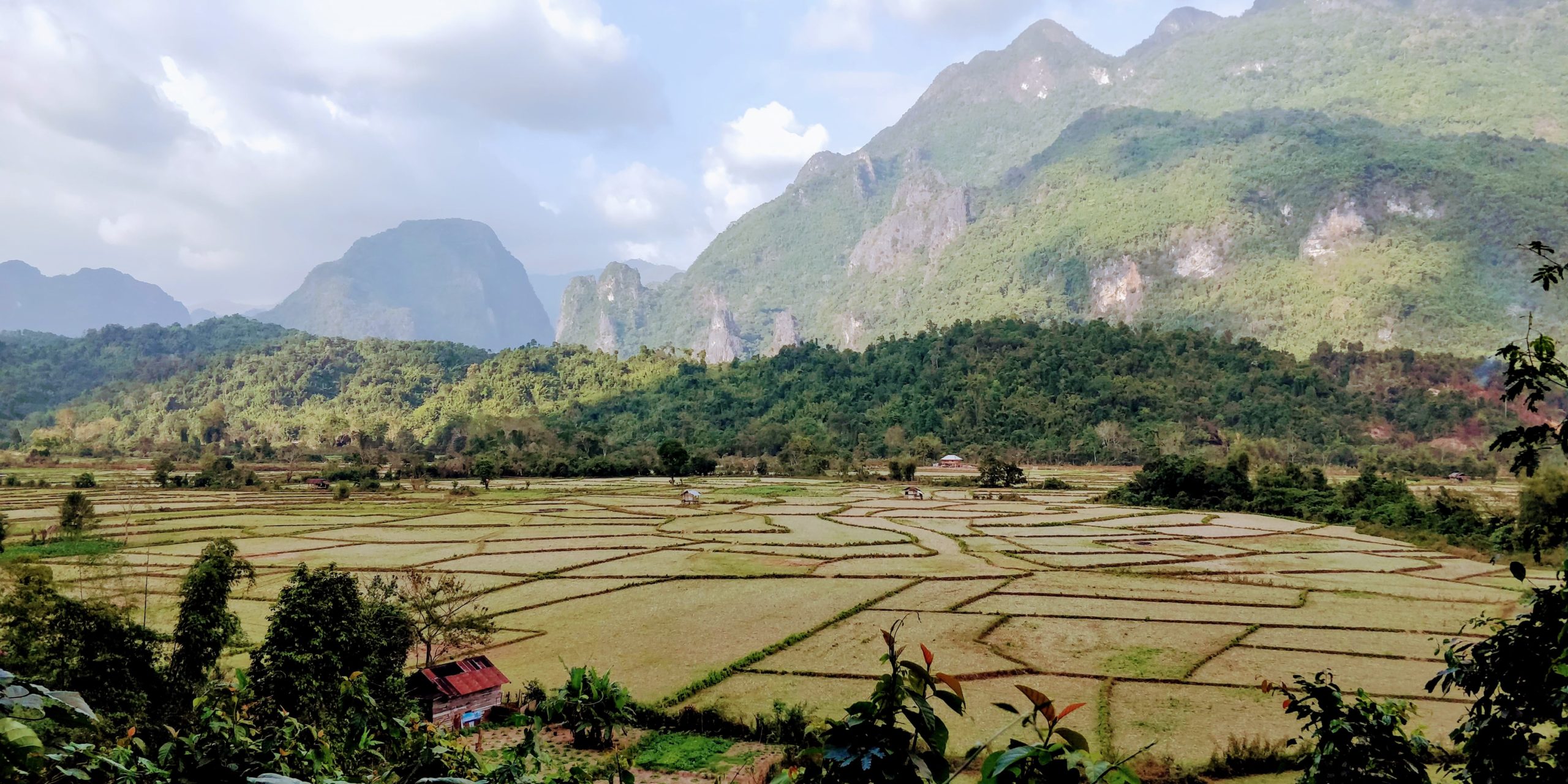 Cycling in the Rice Fields of Luang Nam Tha, Laos - The Travel Hunch